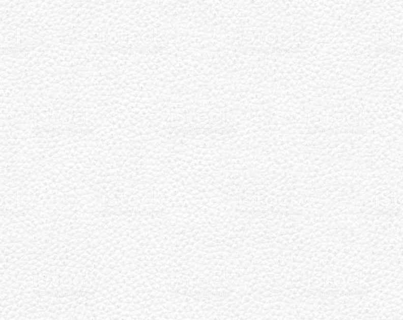 Hood Bra For Audi A3 / S3 2009-2013