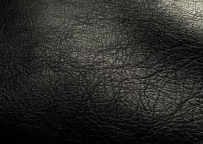 Hood Bra For Dodge Caravan 2011-2020 / Chrysler Town and Country 2011-